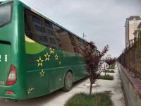 China Long Distance Buses 55 Seats Luxury Coach Green Color 2017 Year Manual Transmission Second Hand Yutong Bus ZK6127 for sale