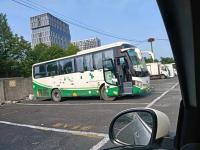China Used Short Bus 9 Meters Rare Engine 39 Seats Sealing Window LHD/RHD Luggage Rack Youngtong ZK6908 for sale