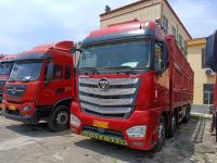 China 2nd Hand Lorry 12 Meters Long Diesel Engine 8×4 Drive Mode Left Hand Drive 2020 Year Foton Fence Truck for sale