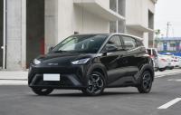 China New Energy Vehicles Cruising Range 305Km BYD Seagull Model Pure Electric for sale