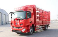 China Fence Cargo Trucks Shacman M6000 4*2 Lorry Truck Weichai 245hp Engine 8 Speed Manual for sale