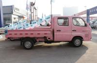 China Cargo Box Truck Foton Mini Lorry Truck Pink Color Manual Transmission Gasoline Engine Euro 6 for sale