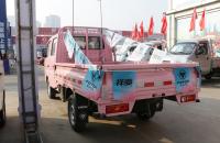 China Cargo Box Truck Foton Mini Lorry Truck Pink Color Manual Transmission Gasoline Engine Euro 6 for sale