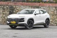 China New Chery Jetour Dasheng 2025 Year 4WD Gasoline Car Durable Powerful Ideal Car With Customized Color for sale