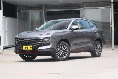 China New Ruimai pickup Diesel gasoline ISUZU engine  high quality pickup car for sale for sale