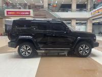 China Popular Tank 300 2021 City Edition 2.0T Very stylish Gasoline Chinese Vehicle for sale