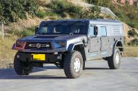 China Don't miss out on the 2022 Dongfeng Mengshi Nixingzhe 500 4.0T V8 Diesel Low-Roof Van for sale