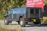 China Don't miss out on the 2022 Dongfeng Mengshi Nixingzhe 500 4.0T V8 Diesel Low-Roof Van for sale