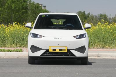 China Affordable New BYD Seagull Small Car 2025  Electric 2WD  For Export for Family use for sale