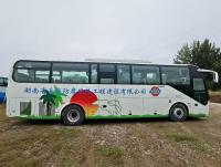 China Coach Bus Second Hand Yu-tong ZK6110 Diesel Coach Bus Yuchai 2020  55 Seats  Luxury Transport With Air Condition for sale
