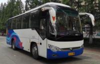 China 39 Seats 260HP Used Yutong Buses 100km / H Max Speed 2010 Year 8995 X 2480 X 3330mm for sale