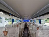 China Used Zhongtong Bus LCK6119 50 Seats 2019 Big Capacity Compartment Euro V 336kw Aiebag Chassis for sale
