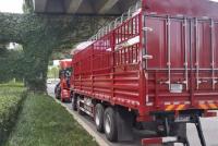 China Dong-Feng 8x4 420hp China Used Lorry Cargo Trcuk Brand New LHD/RHD for sale