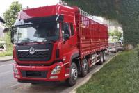 China Dong-Feng 8x4 420hp China Used Lorry Cargo Trcuk Brand New LHD/RHD for sale
