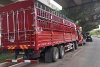 China Dong-Feng 8x4 420hp China Used Lorry Cargo Trcuk Brand New LHD/RHD for sale