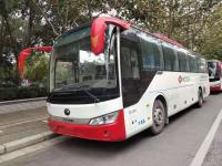 China Public Transport Yutong Used Buses Passenger City Used Diesel Buses Luxury Tour Intercity Coach Buses for sale