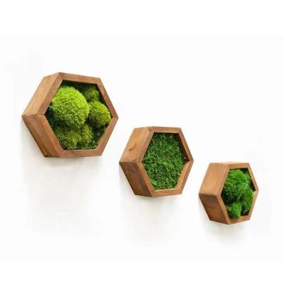 China OEM Service Accepted Customization Preserved Moss Frame Wall Painting Hanging Frame for Home Decoration for sale