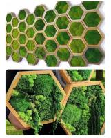 China OEM Service Accepted Customization Preserved Moss Frame Wall Painting Hanging Frame for Home Decoration for sale