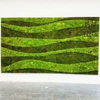 China 100% Natural Real Moss 3D Wall Art for Office Decoration Customized and Ready Made for sale