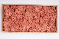 China Natural Moss Package for Easter House Decoration Customized Color Easter Occasion for sale
