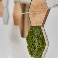China OEM Service Accepted Customization Preserved Moss Frame Wall Painting Hanging Frame for Home Decoration for sale