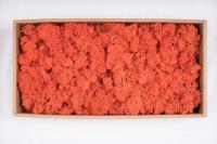 China Natural Moss Package for Easter House Decoration Customized Color Easter Occasion for sale