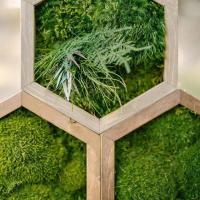 China OEM Service Accepted Customization Preserved Moss Frame Wall Painting Hanging Frame for Home Decoration for sale