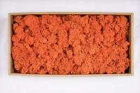 China Natural Moss Package for Easter House Decoration Customized Color Easter Occasion for sale