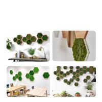 China OEM Service Accepted Customization Preserved Moss Frame Wall Painting Hanging Frame for Home Decoration for sale