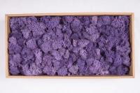 China Natural Moss Package for Easter House Decoration Customized Color Easter Occasion for sale