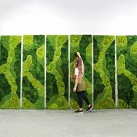 China 100% Natural Real Moss 3D Wall Art for Office Decoration Customized and Ready Made for sale