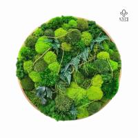 China 2024 Natural Green Wall Real Preserved Moss Moss Wall Panel for Living Room Decoration for sale