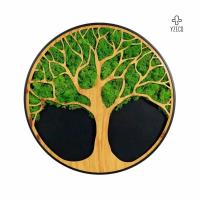 China 2024 Natural Green Wall Real Preserved Moss Moss Wall Panel for Living Room Decoration for sale