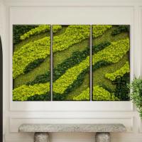 China Customized Diy Green Artificial Moss Wall Panel for Wall Decor OEM ODM Logo Accepted for sale