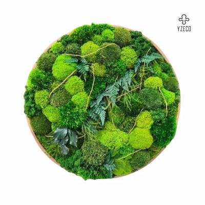 China Back to School Occasion Real Natural Wood Reindeer Moss Circle Frame for Wall Decoration for sale