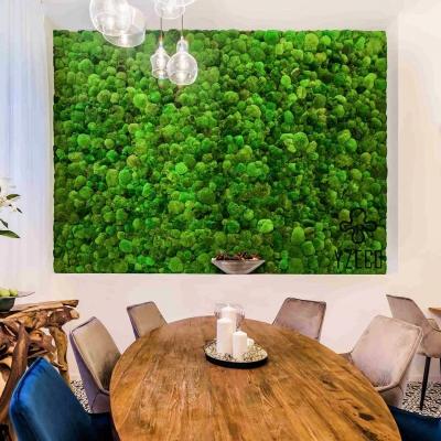 China OEM ODM Accepted Green Preserved Moss Wall Art For Art Decoration 5-8 Years Life Time for sale