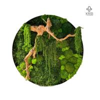 China Non-Flammable Green Artificial Moss Wall Art Frame For Wall Inspiration Display for sale