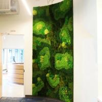 China OEM ODM Accepted Green Preserved Moss Wall Art For Art Decoration 5-8 Years Life Time for sale