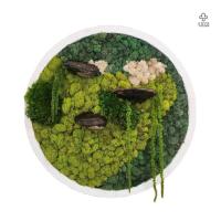 China Natural Non-Toxic Preserved Green Tree Moss Art Panels Frame for Long Lasting Home Decor for sale