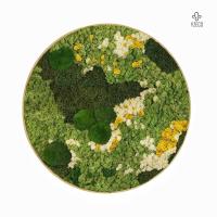 China Natural Non-Toxic Preserved Green Tree Moss Art Panels Frame for Long Lasting Home Decor for sale