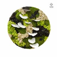China Natural Non-Toxic Preserved Green Tree Moss Art Panels Frame for Long Lasting Home Decor for sale