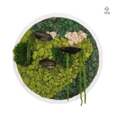 China Year Occasion Customized Soft Immortal Natural Moss Display Frame For Wall Decoration for sale