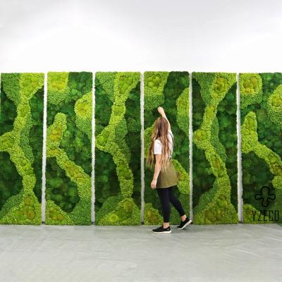 China Kids Room Decoration 2024 Natural Live Moss Wall Art Frame Picture Customized Design for sale