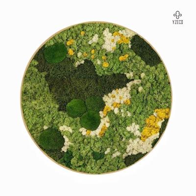China Customized Logo Accepted Large Natural Preserved Green Moss Frame for Entryway 20cm-120cm for sale