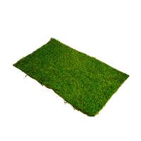 China Artificial Moss Panels Customized Logo Accepted Green Plant Art Decoration for Wall Window for sale
