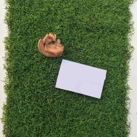 China Artificial Moss Panels Customized Logo Accepted Green Plant Art Decoration for Wall Window for sale