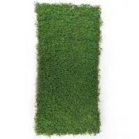 China Artificial Moss Panels Customized Logo Accepted Green Plant Art Decoration for Wall Window for sale