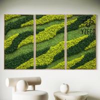 China Real Natural Wood Moss Art for Home Office Preserved and 100% Natural Moss Decoration for sale