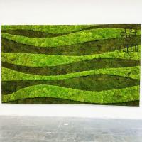 China Real Natural Wood Moss Art for Home Office Preserved and 100% Natural Moss Decoration for sale