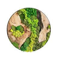 China Add a Touch of Green to Your Home with YZECO Customized Round Decor Moss Wall Frame for sale